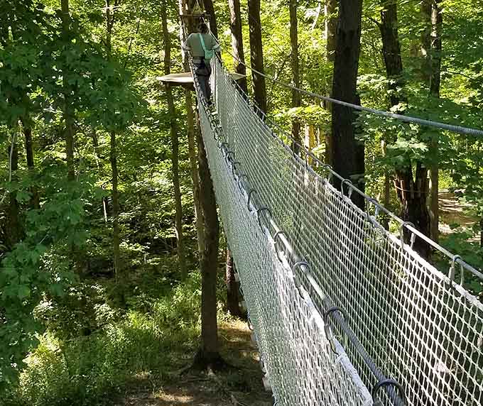Suspended bridges sway gently between trees, testing your nerve while providing Instagram-worthy forest views below.
