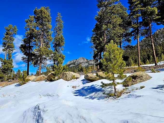 Winter transforms these trails into a snow-globe scene, minus the shaking and the tiny plastic trees, thankfully.