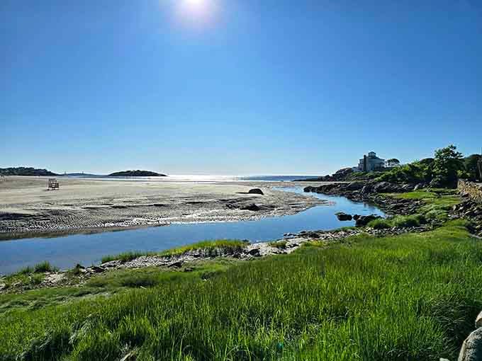 Low tide reveals nature's own playground where marsh grass meets sand, creating a landscape worthy of an Andrew Wyeth painting.