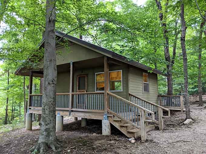 These cozy cabins offer the perfect compromise between roughing it and actually being comfortable while you sleep.