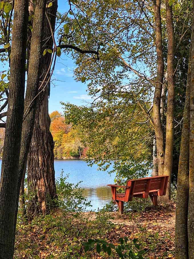 Someone knew exactly what they were doing when they placed this bench with a view worth framing.
