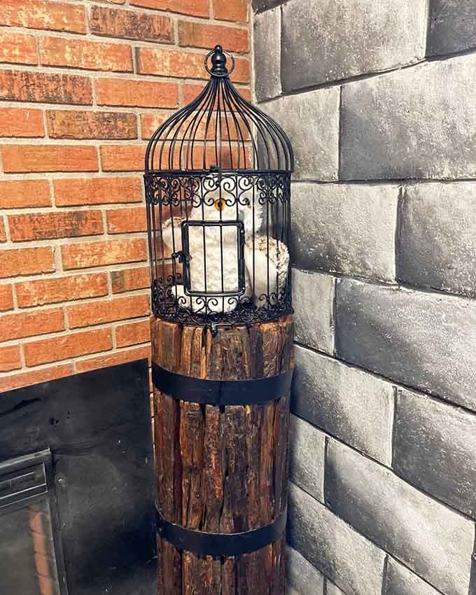 Even Hedwig would approve of this decorative owl cage, though no actual birds were harmed in this theming.