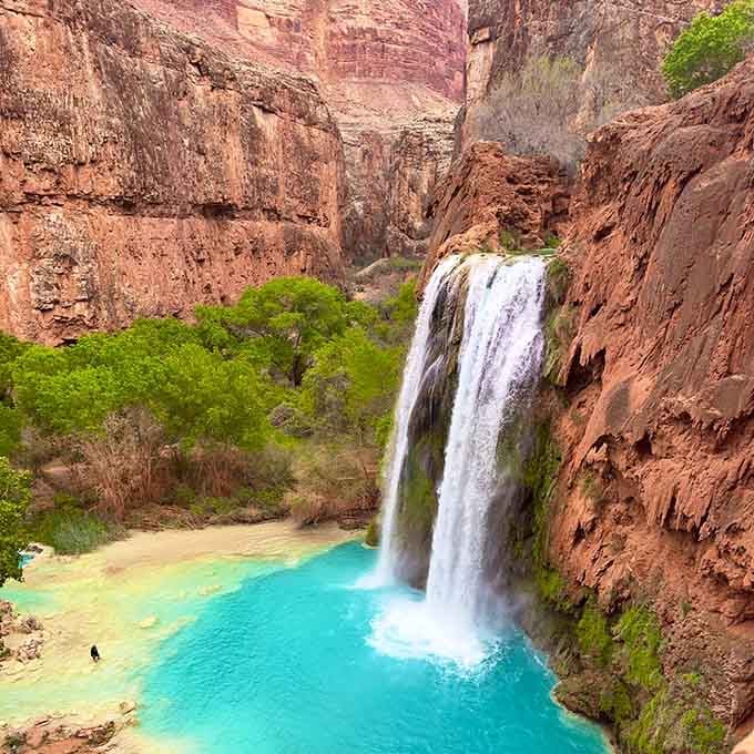 Havasu Falls drops into water so blue it makes swimming pools look like they're not even trying anymore.