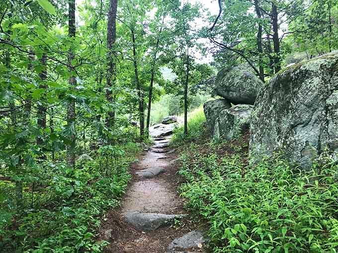 The trail beckons through forests that make you forget civilization exists just an hour away.