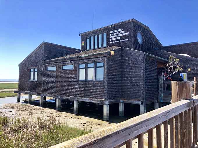 The Shoreline Interpretive Center proving that waterfront property doesn't always mean millionaire-only access to nature's best views.