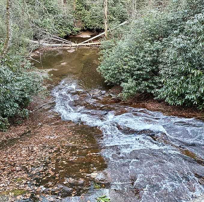 Helton Creek flows with the kind of determination that makes you reconsider your own life choices and priorities.