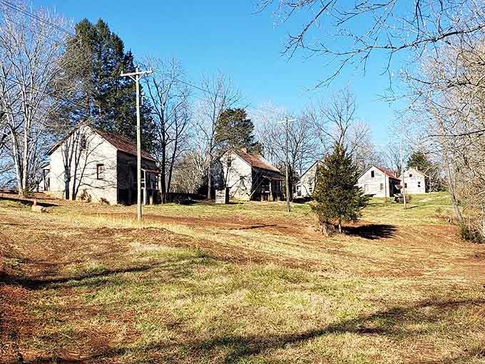 Multiple mill houses dot the hillside like a village that simply decided to take a very long nap.