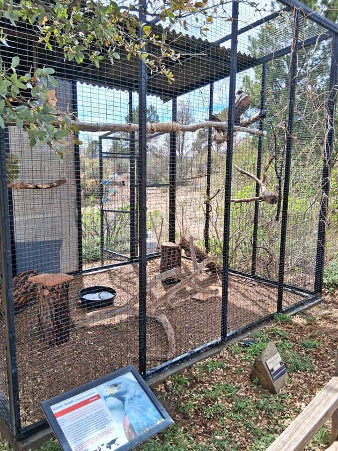 This enclosure shows how proper sanctuary design gives animals room to actually move around and be themselves.