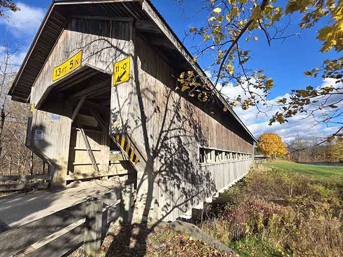 This angle shows off the bridge's best side, though honestly, it doesn't really have a bad one.