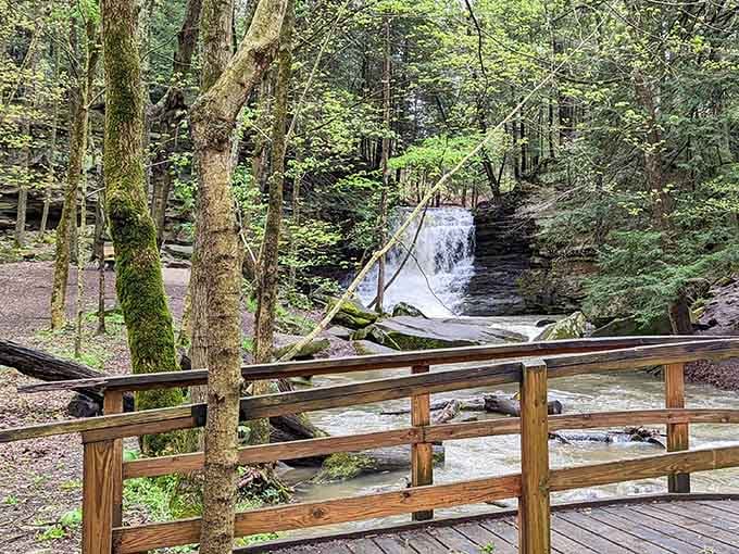 Your first glimpse of the falls through the trees, that moment when you realize the hike was absolutely worth it.