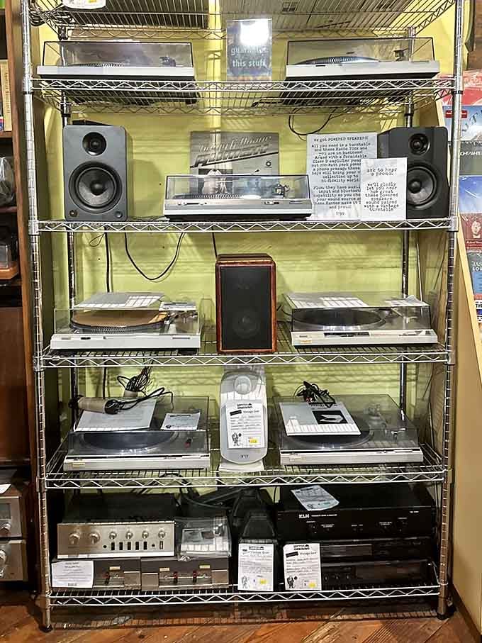 Turntables and equipment lined up like a museum display, ready to bring your vinyl collection back to life.
