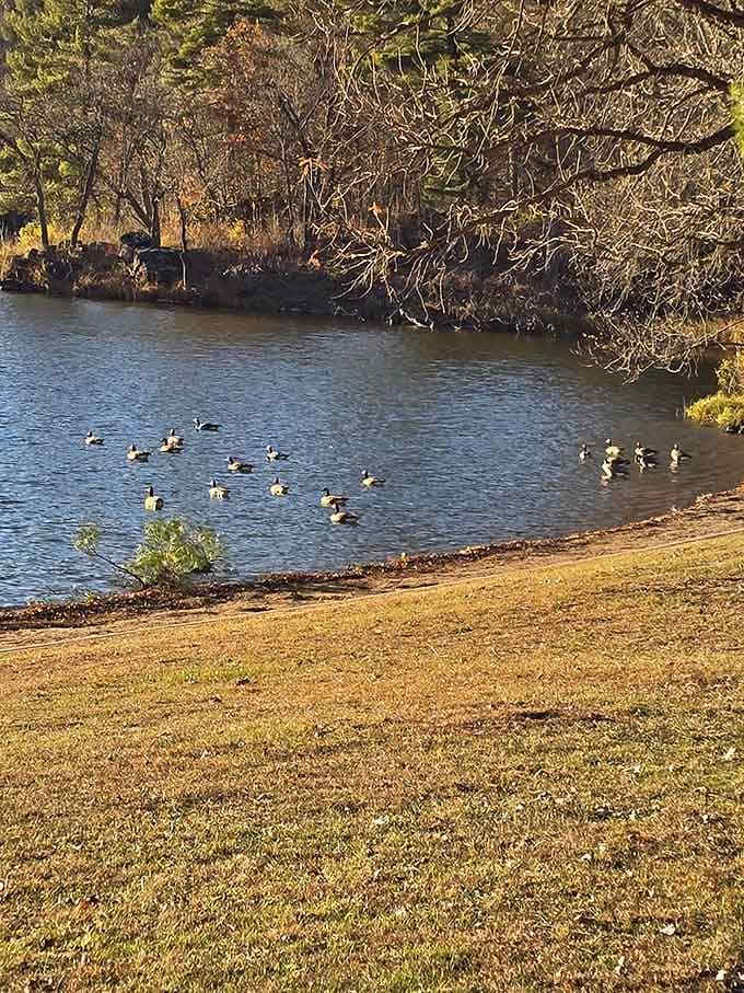 Even the local waterfowl know they've got prime real estate along this scenic shoreline.