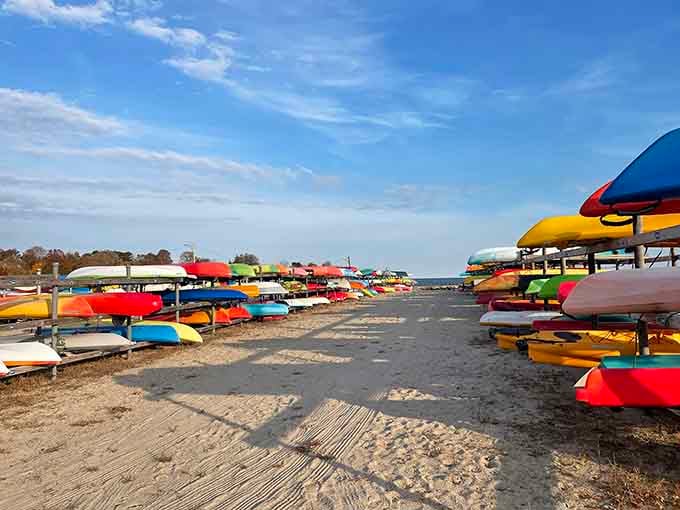 Rainbow kayaks lined up like beach candy, ready to turn your arms into noodles by lunchtime.