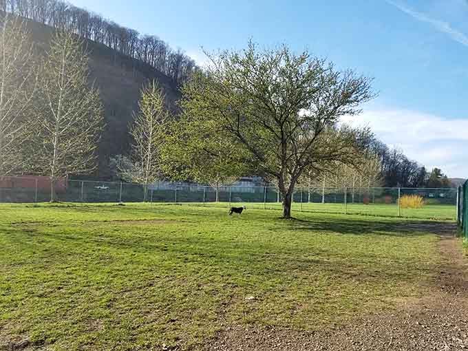 Green space where your four-legged friend can roam free while you contemplate those mountain views&mdash;retirement goals achieved.