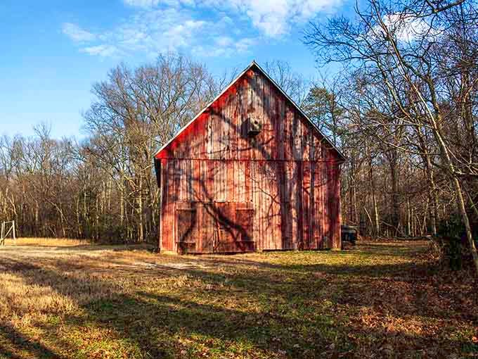 This weathered barn stands as a testament to the sanctuary's agricultural heritage and sustainable farming practices.