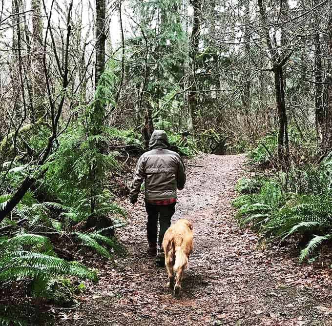 Forest trails where the only traffic jam involves deciding which path looks more inviting than the others.