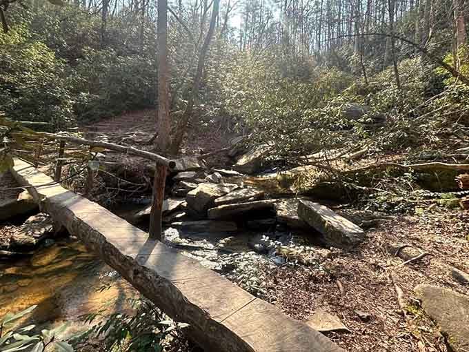 A simple wooden bridge crossing the creek, rustic charm meets practical engineering in the forest.