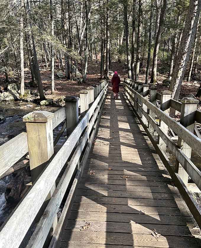 This wooden bridge leads you deeper into the forest, where the only traffic jam involves chipmunks crossing single-file.
