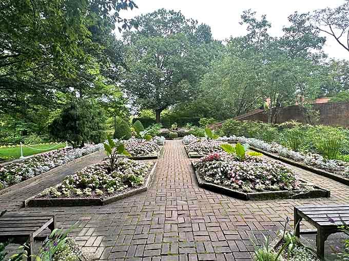 Geometric flower beds prove that nature and mathematics can collaborate beautifully when given proper encouragement and sunlight.