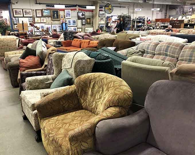 More seating options than a furniture showroom, and every couch has a story to tell about the living rooms it's seen.