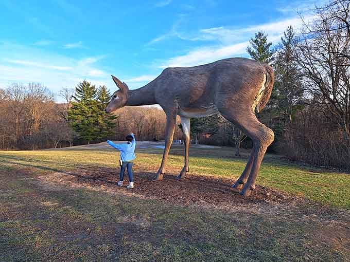 This life-sized deer sculpture stands perfectly still, unlike actual Missouri deer that dart across highways at midnight.