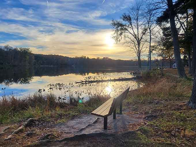Sometimes the best seat in the house is a simple bench overlooking water that mirrors the sky perfectly.