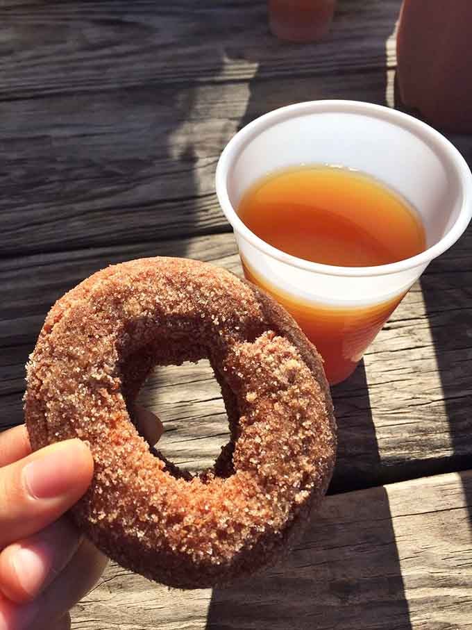 Apple cider donut meets fresh-pressed cider in the most Pennsylvania pairing since pretzels met mustard at a Phillies game.