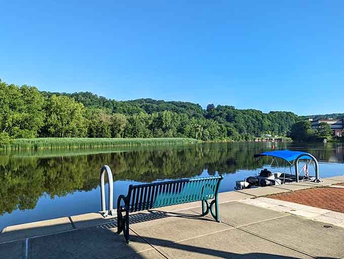 The marina offers peaceful waterfront views where you can contemplate your cheese purchases and life's other important decisions.