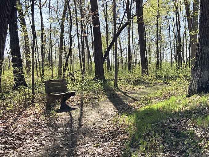Curved benches invite contemplation while you rest among structures older than most European cathedrals you've heard about.