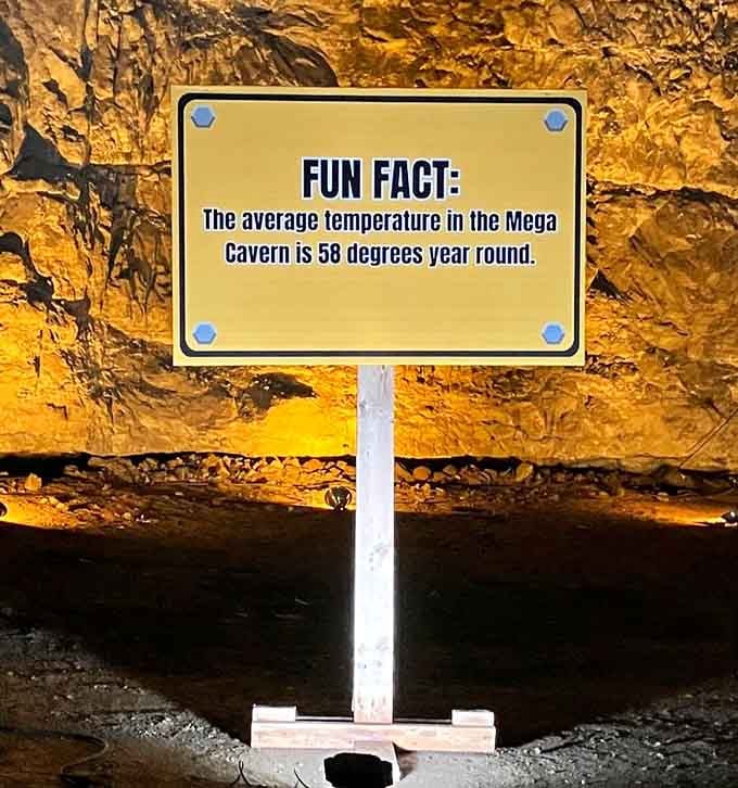 They're not kidding about that temperature. Mother Nature's thermostat set to perfection, no seasonal adjustments needed.