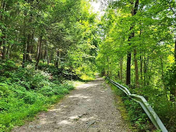 Wide, welcoming paths mean you and your four-legged explorer can walk side-by-side through nature's cathedral.