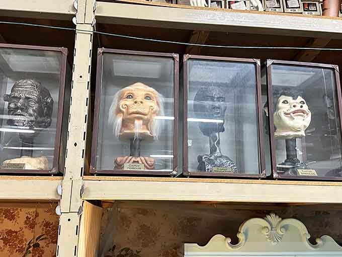 These quirky character heads behind glass watch over the merchandise like silent, slightly unsettling guardians of good taste.