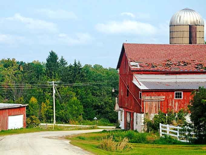 Classic Wisconsin barn and silo combo, the kind of pastoral scene that makes city folks suddenly interested in farming.