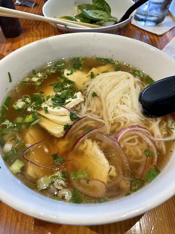 Clear, fragrant pho broth with tender chicken and fresh herbs waiting to transform your entire afternoon.