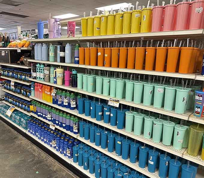 Every color of the rainbow in tumbler form, because staying hydrated should be both stylish and budget-friendly always.