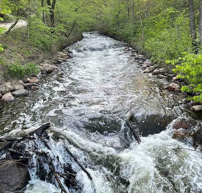 The creek rushes over rocks with the kind of determination usually reserved for Black Friday shoppers at Target.