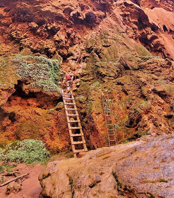 Those wooden ladders are your ticket down, assuming your knees are still speaking to you.