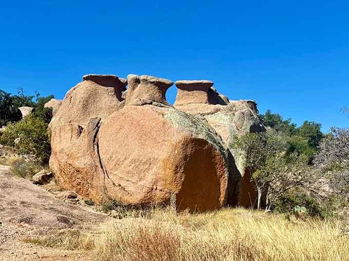 This boulder looks like a giant's abandoned teapot, weathered by time into something Dr. Seuss might've sketched on a good day.