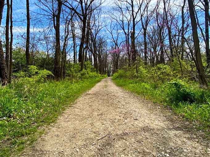 Spring trails like this make you wonder why you've been paying for a gym membership.