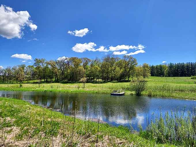 Peaceful waters reflect the surrounding trees, offering the kind of tranquility that makes you forget your phone exists.
