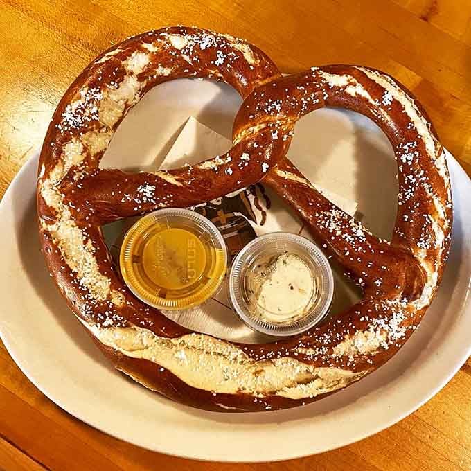 This giant pretzel could double as a life preserver, golden-brown and sprinkled with coarse salt like edible treasure.
