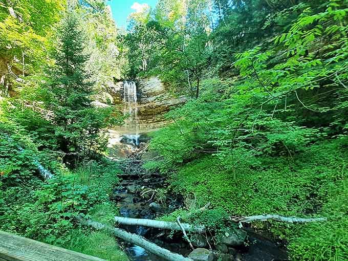 Lush greenery surrounds the cascade, creating a scene straight out of a nature documentary.