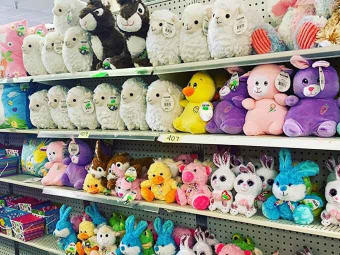 Stuffed animals lined up like fuzzy little therapists, ready to comfort kids without charging by the hour.