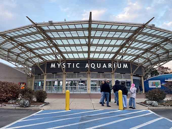 Mystic Aquarium: The entrance alone suggests the wonders inside, where penguins waddle and beluga whales make you question your life choices.