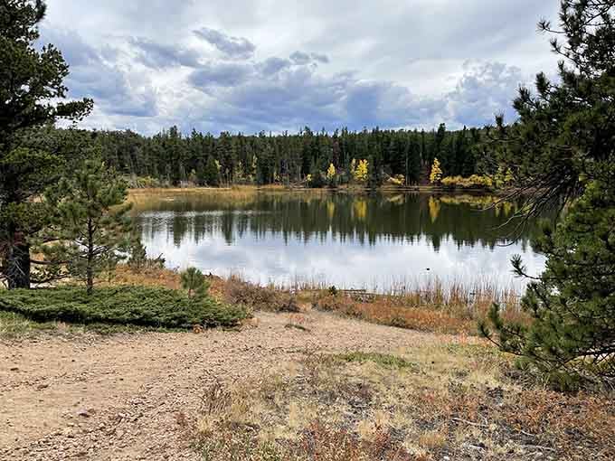 Tranquil shoreline ringed by pines, where the only sound is wind through trees and maybe your contented sigh.