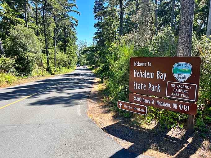 Nehalem Bay State Park welcomes you to miles of uncrowded beach and peaceful coastal trails.