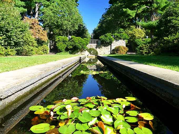 The reflecting pool creates mirror images so perfect, you'll question which side is real.