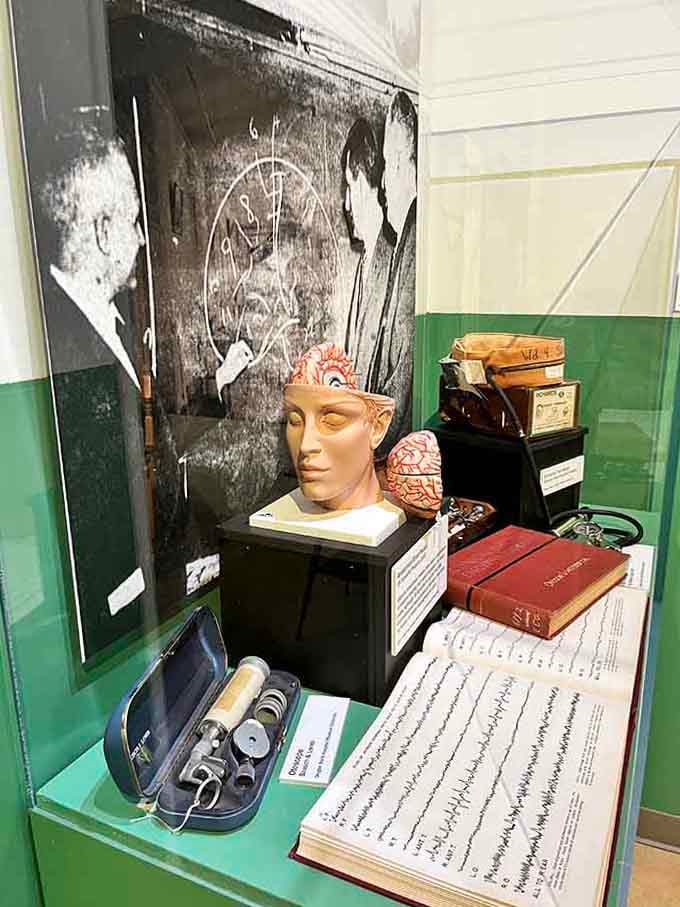 Anatomical models and surgical tools tell stories of early brain research that changed psychiatric medicine forever.