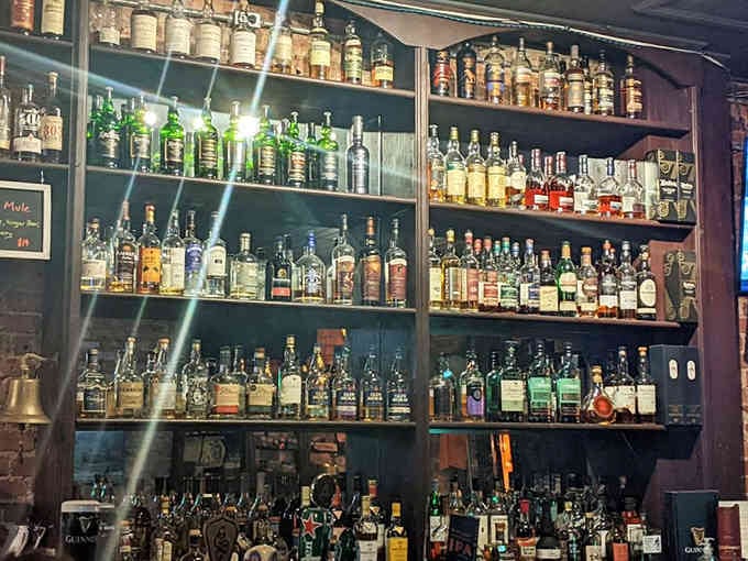 That whiskey collection stretching across multiple shelves represents years of careful curation and excellent taste decisions.