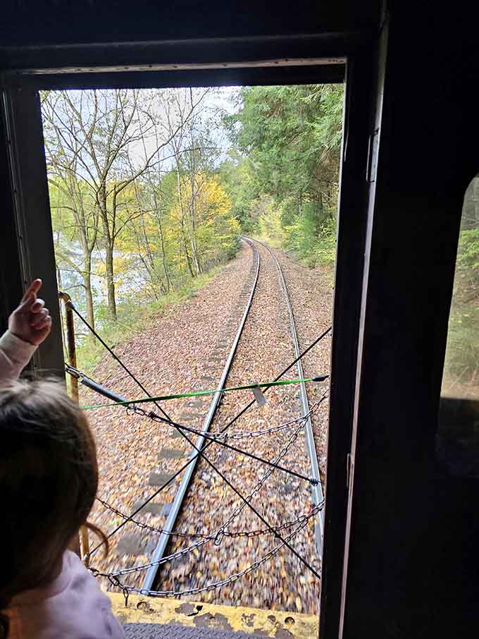 The view from the conductor's perspective: tracks disappearing into autumn splendor that stretches as far as eyes can see.